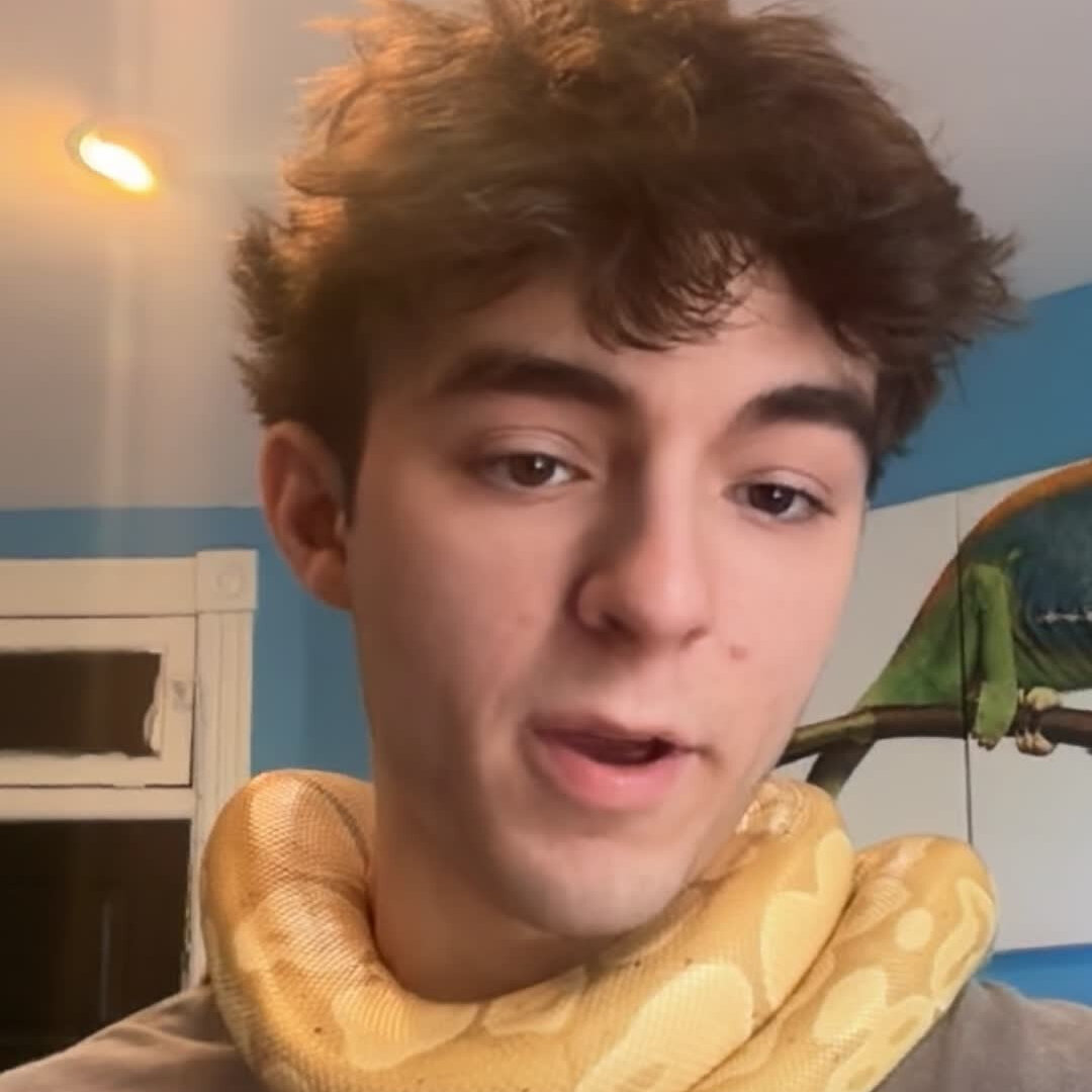 GooZoo (@goozoo62) is LIVE - TikTok LIVE