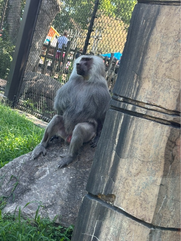 . (@animie_w_editz) is LIVE - TikTok LIVE