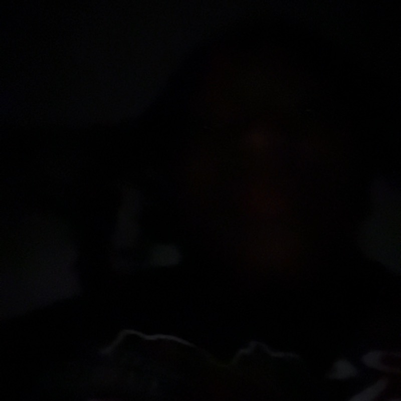 ITS HAILEY (@its.hailey360) is LIVE - TikTok LIVE